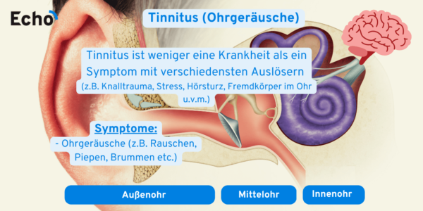 13 häufigste Ohrenerkrankungen👂🏼 [Ursachen, Symptome & Tipps] - Echo